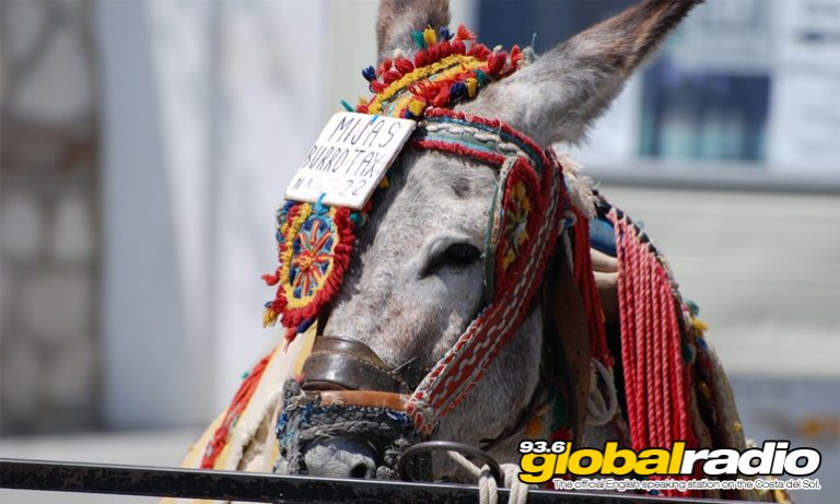 Weight Limits For Mijas Donkey Riders - 93.6 Global Radio