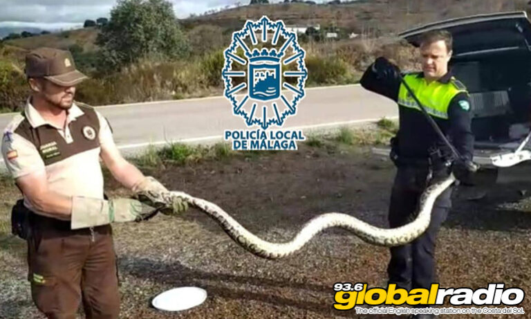 Huge Costa Del Sol Snake Captured - 93.6 Global Radio